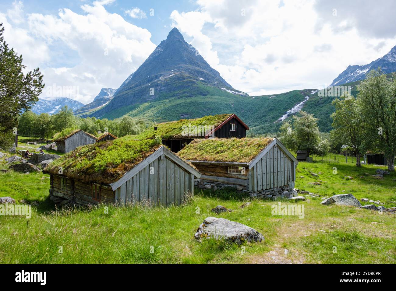 A cluster of traditional Norwegian houses with lush, green roofs ...