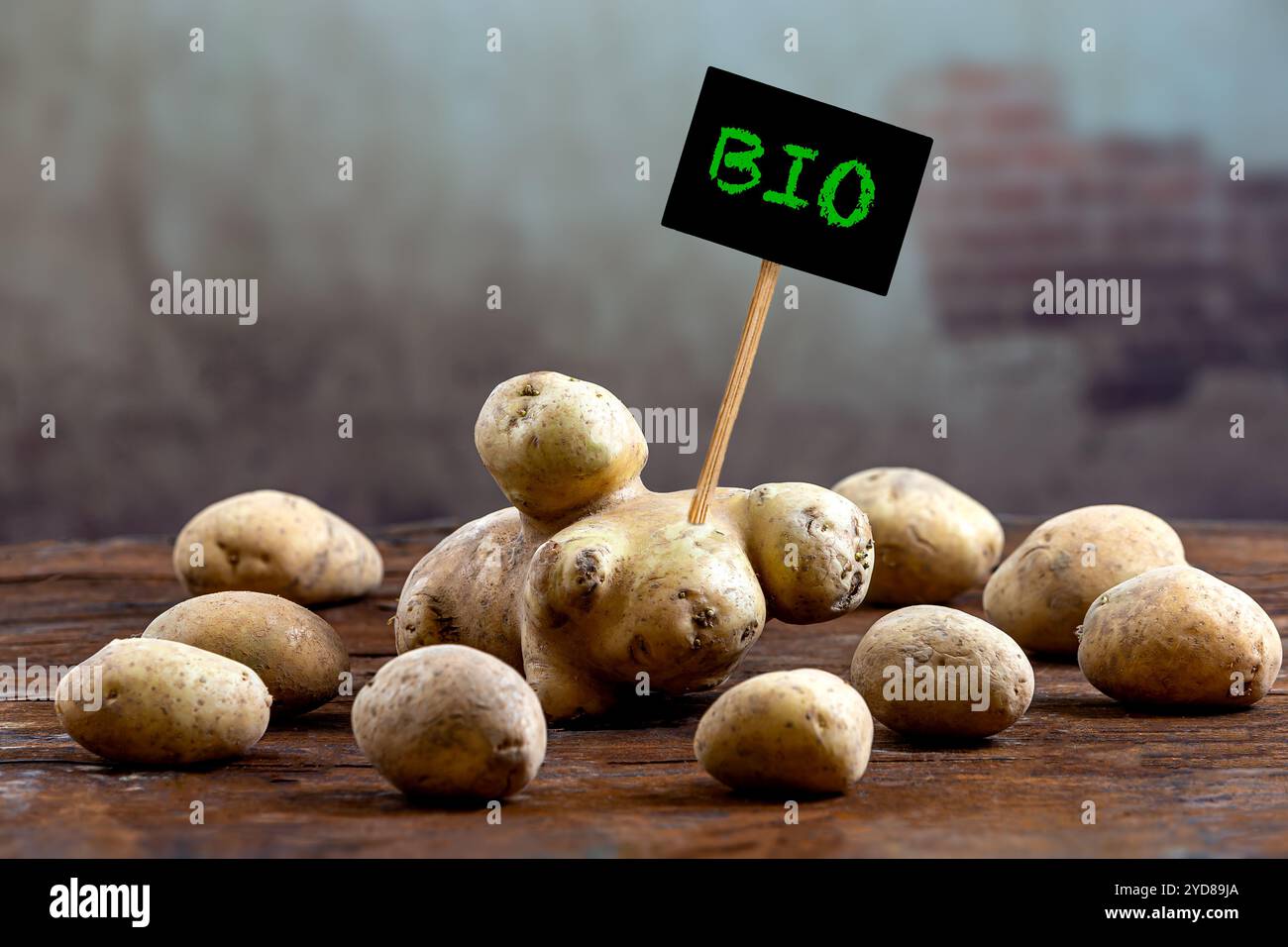 Potatoes forming a circle around an outsized specimen Stock Photo - Alamy