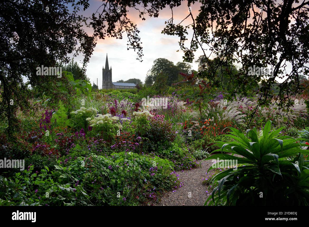 sunrise over the Torc garden,Patthana Garden,Kiltegan,Wicklow,Ireland ...