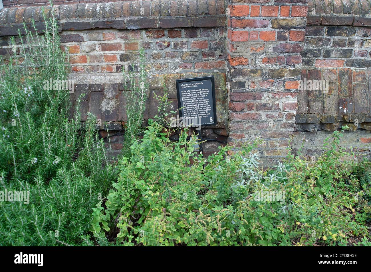 Ham, Richmond-upon-Thames, Surrey, UK. 21st October, 2024. A herb ...