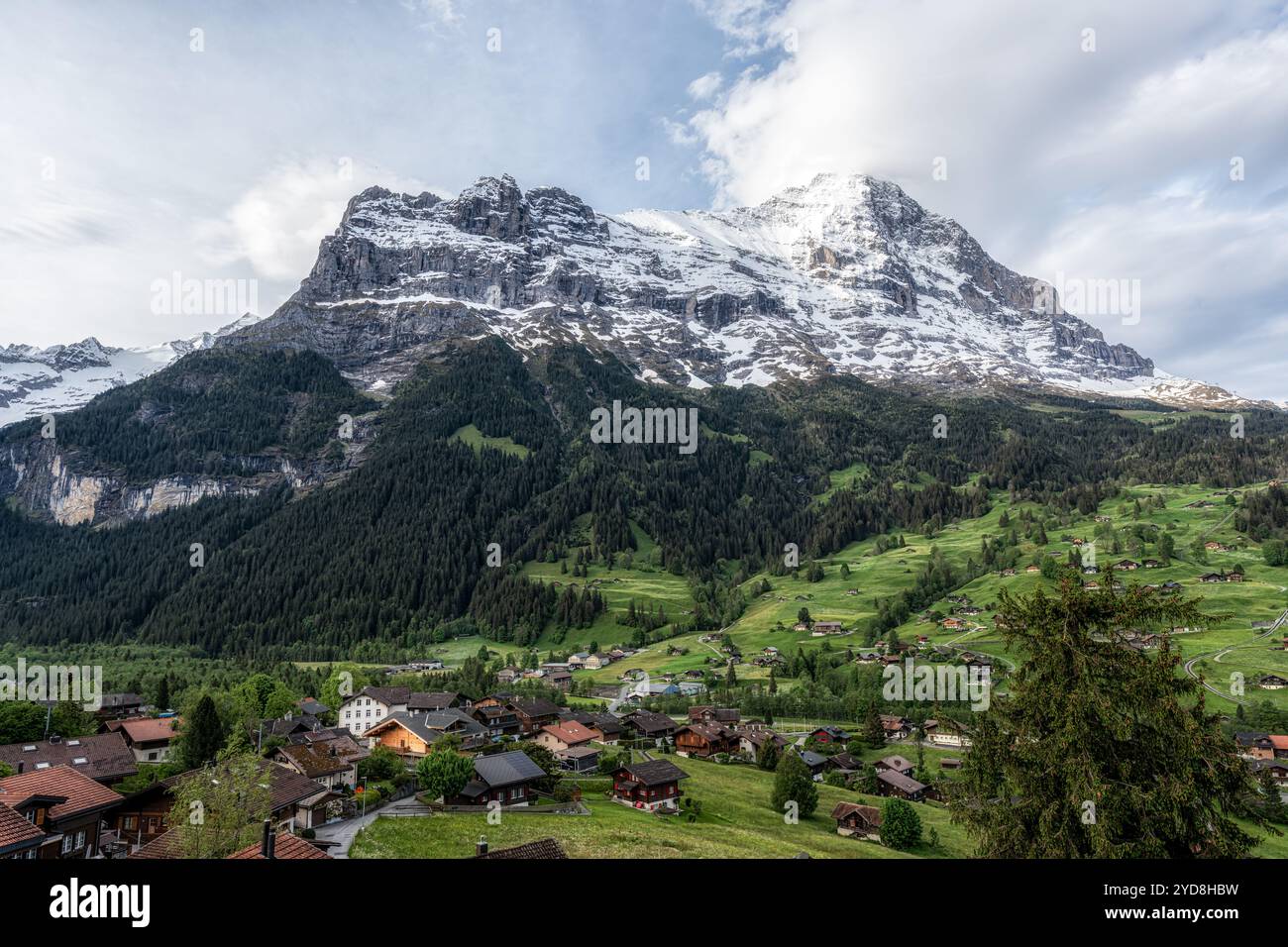 Eiger Mountain viewed from Grindelwald during sunrise hours. Famous ...
