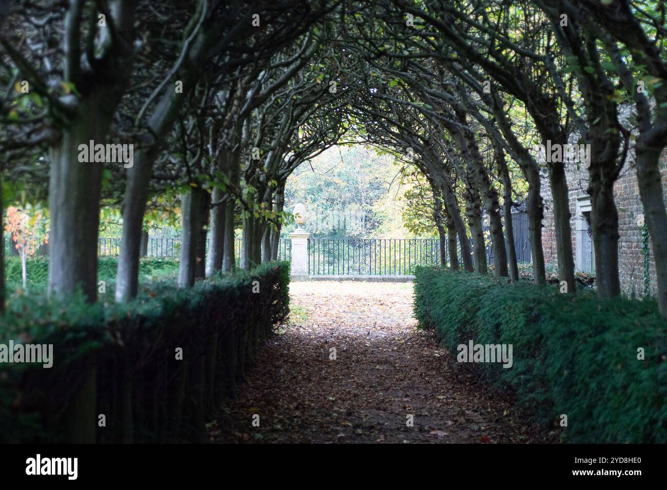 Ham, Richmond-upon-Thames, Surrey, UK. 21st October, 2024. Ham House in ...
