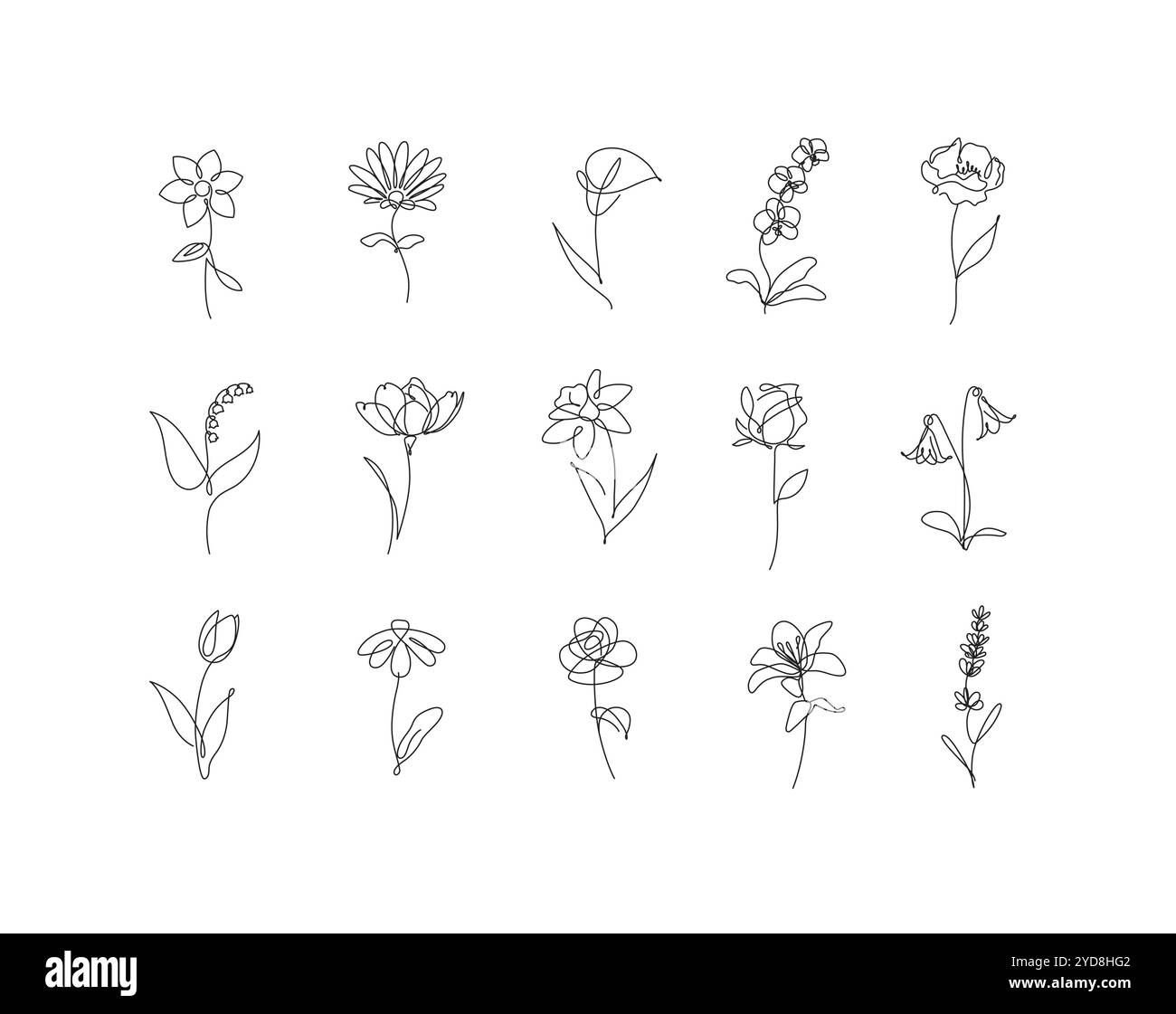 Flowers icons set rose, tulip, bell, camellia, daffodil, daisy, calla ...