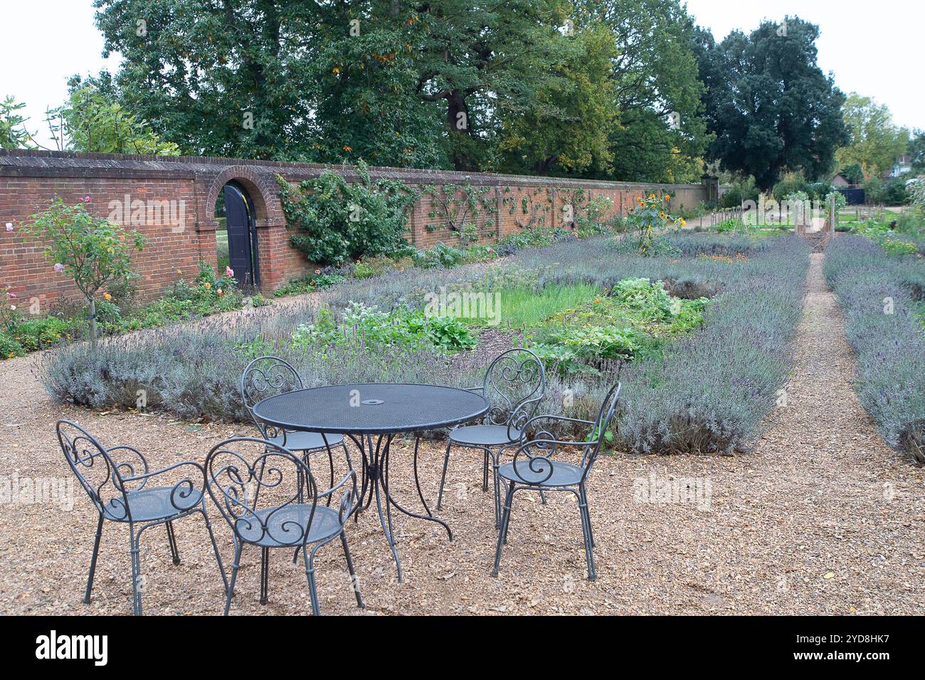 Ham, Richmond-upon-Thames, Surrey, UK. 21st October, 2024. Pretty ...
