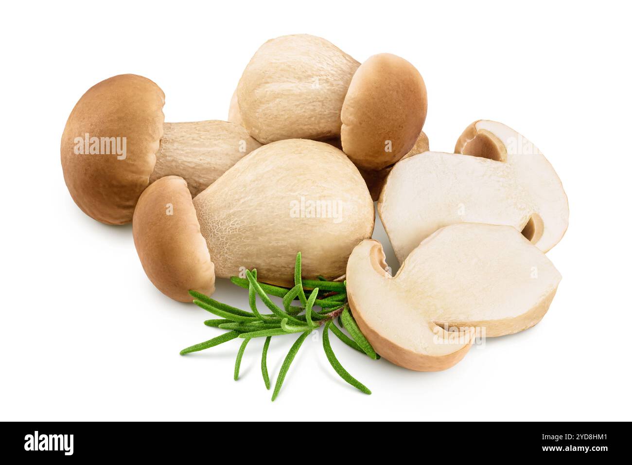 Fresh porcini cep mushroom isolated on white background with full depth ...