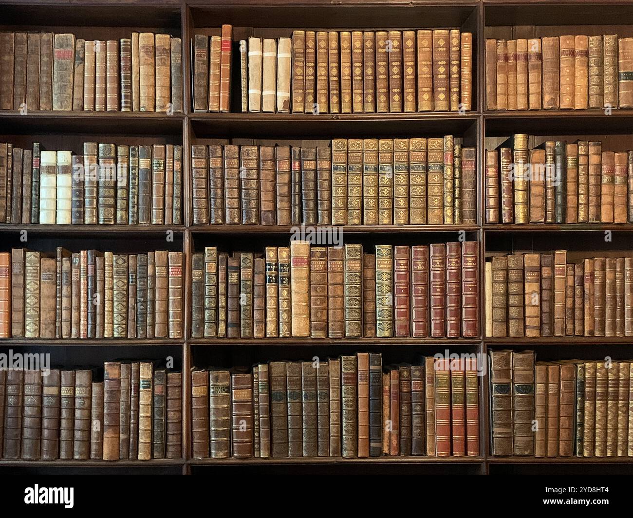 Ham, Richmond-upon-Thames, Surrey, UK. 21st October, 2024. The library ...