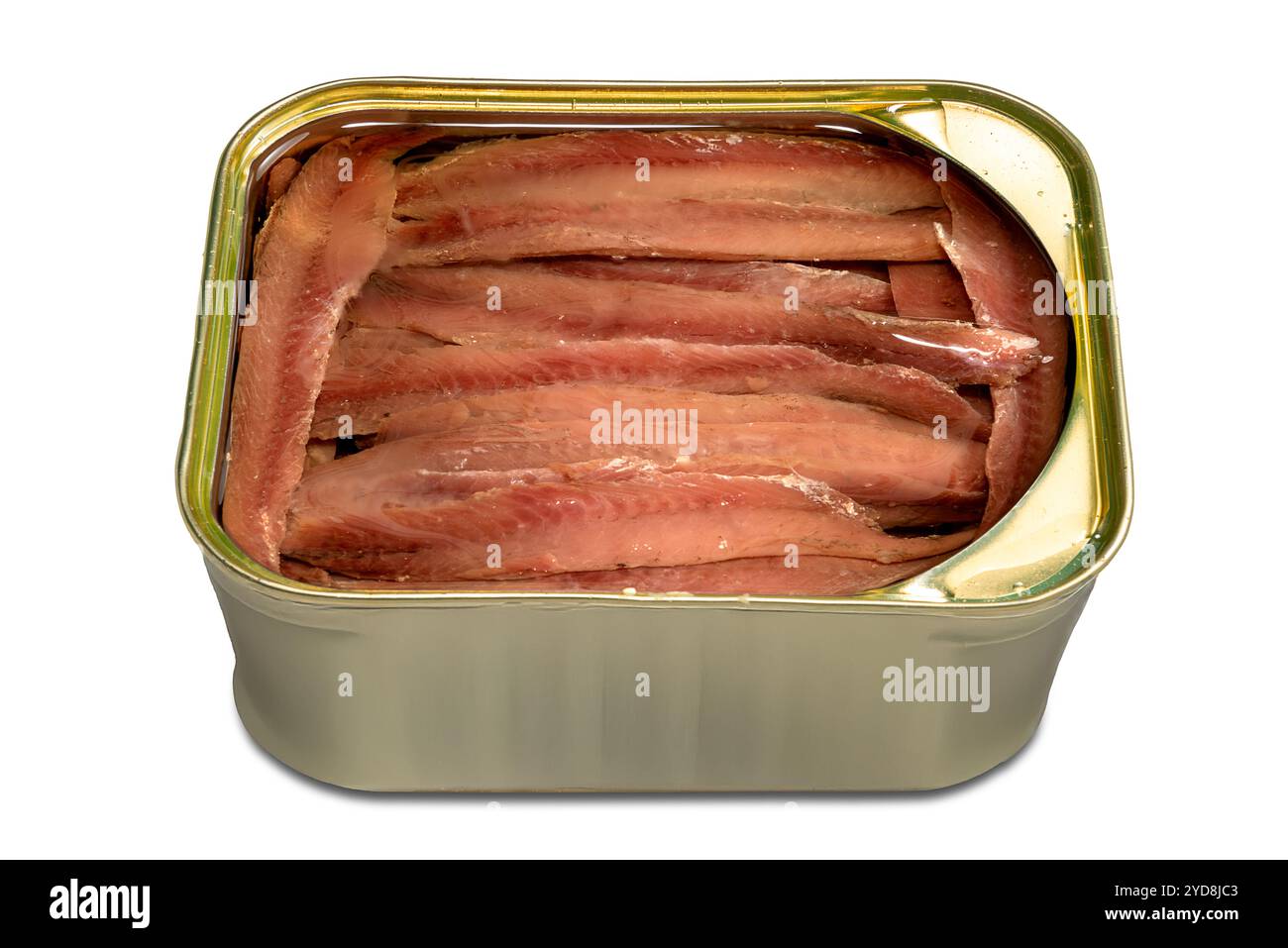 Salted anchovy fillets of Cantabrian sea in open tin can , preserved in ...