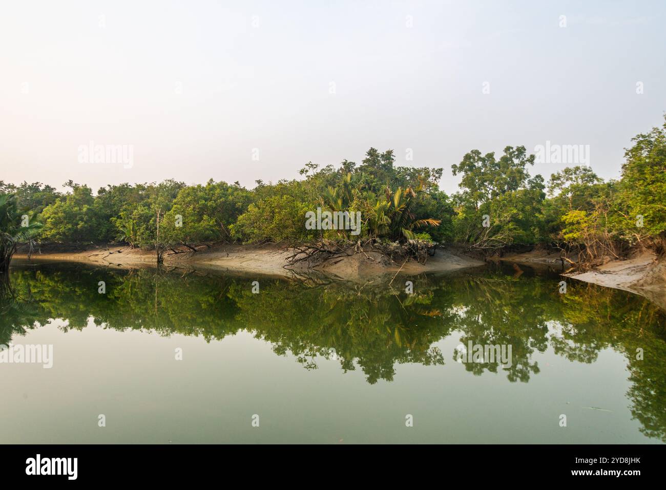 World largest mangrove forest Sundarbans, famous for the Royal Bengal ...