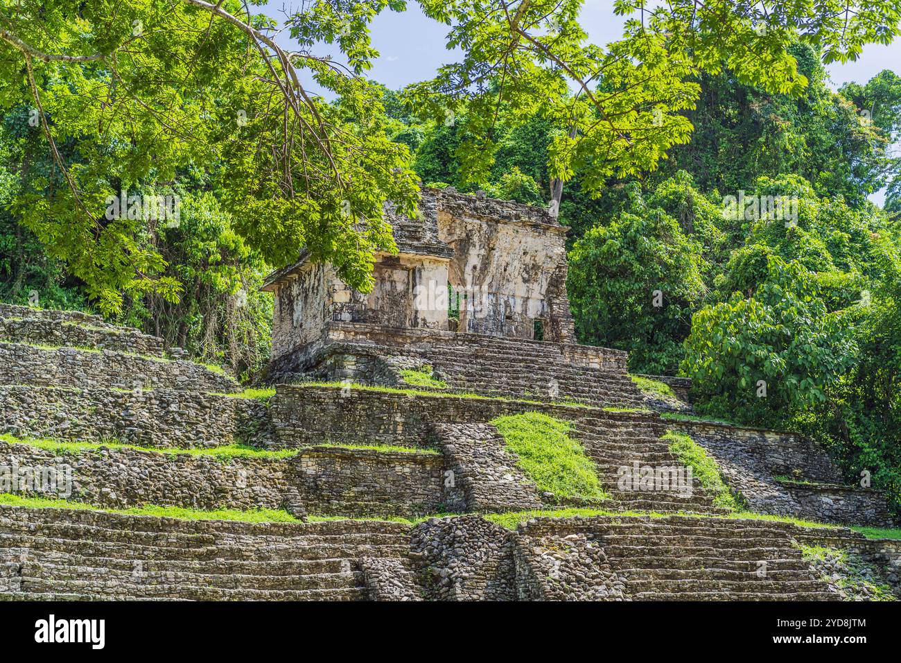 The ancient pyramids of Palenque in Mexico, surrounded by lush jungle ...