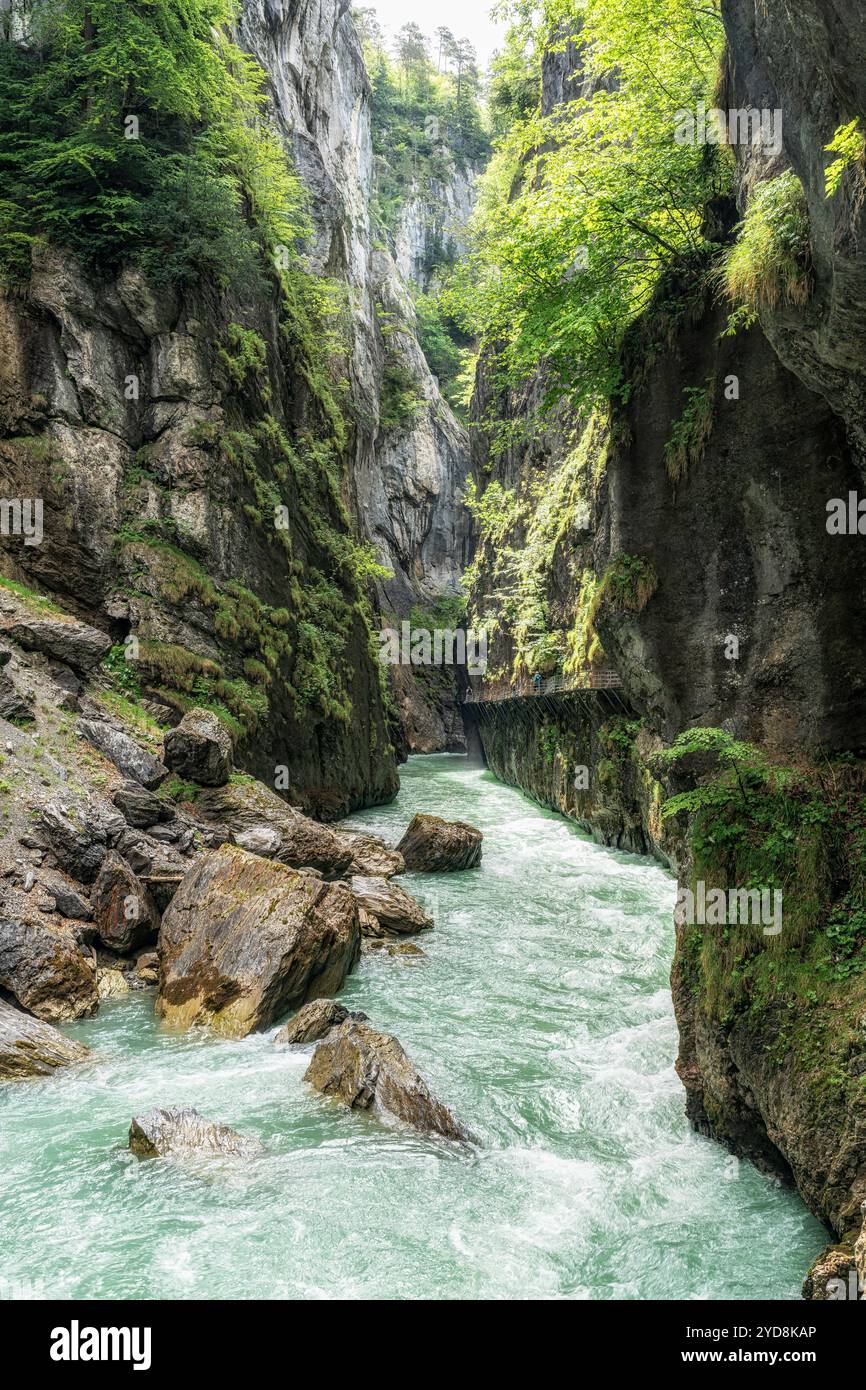 Aare Gorge limestone ridges and formations over the Aare River. Famous ...