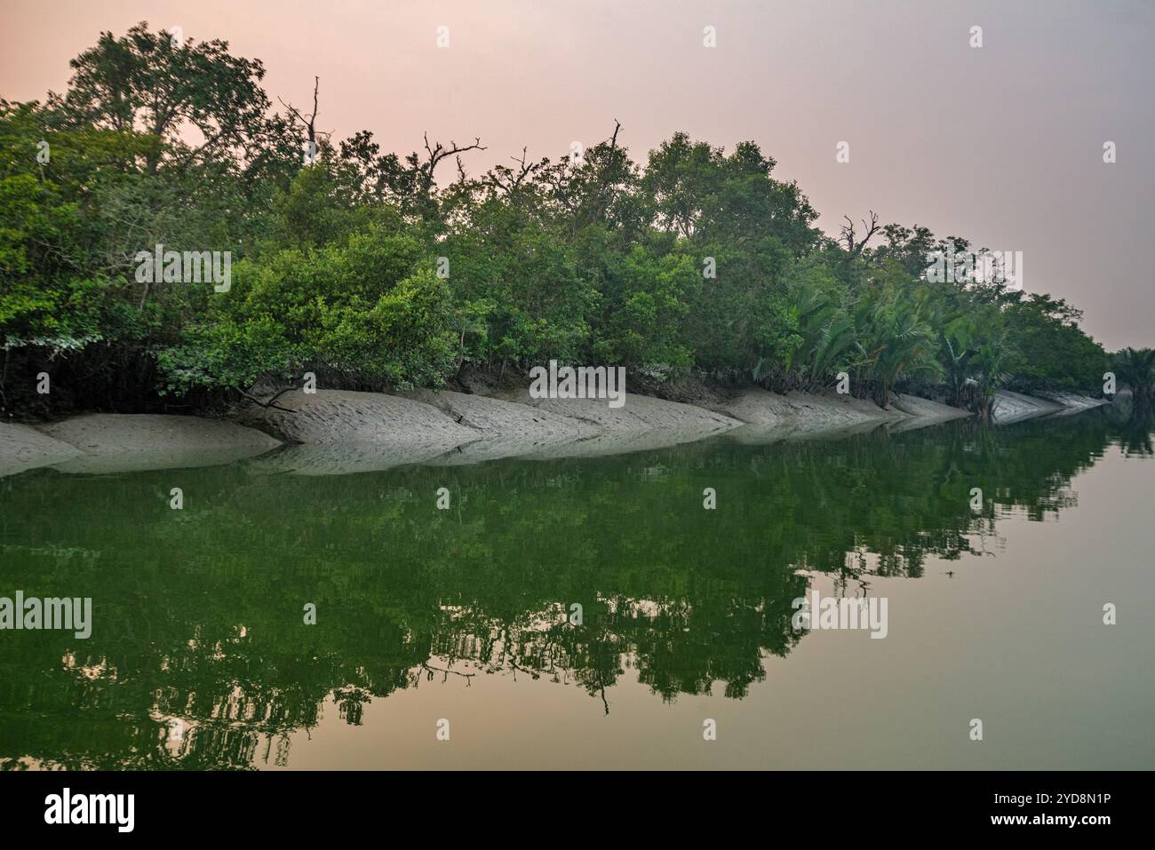 World largest mangrove forest Sundarbans, famous for the Royal Bengal ...