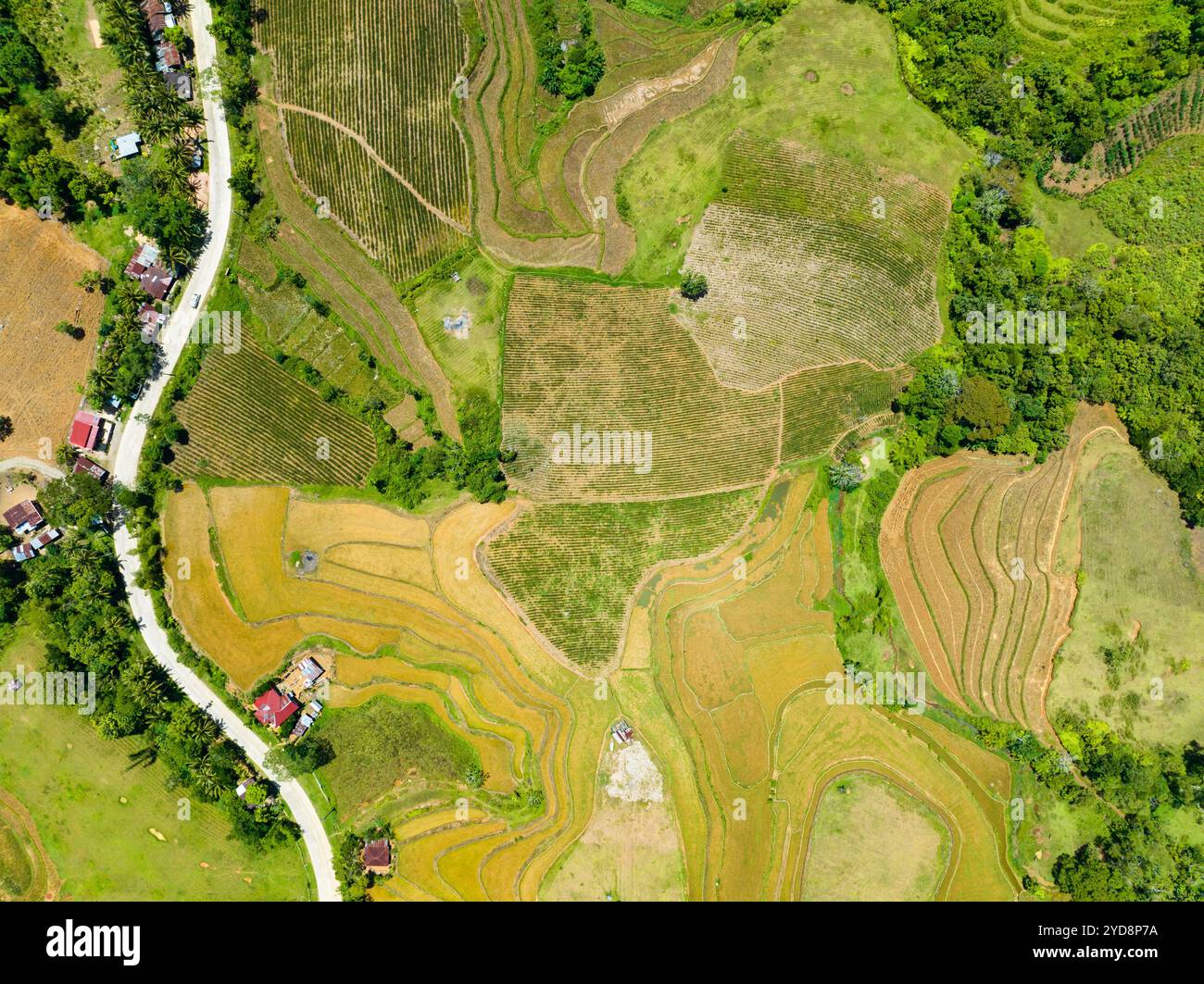 Aerial drone of agricultural landscape with farmland in the countryside ...