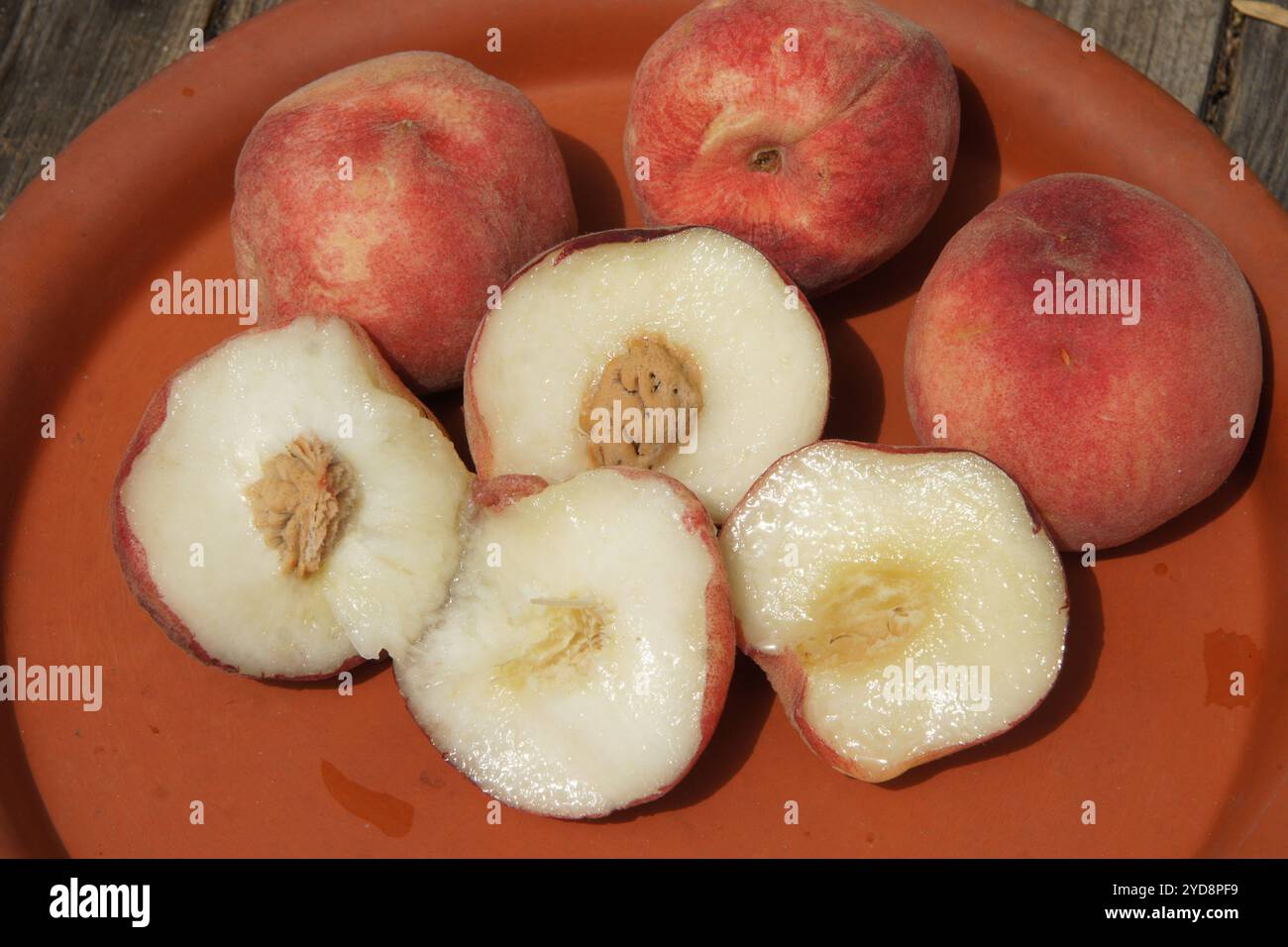 Prunus persica, peach Stock Photo - Alamy