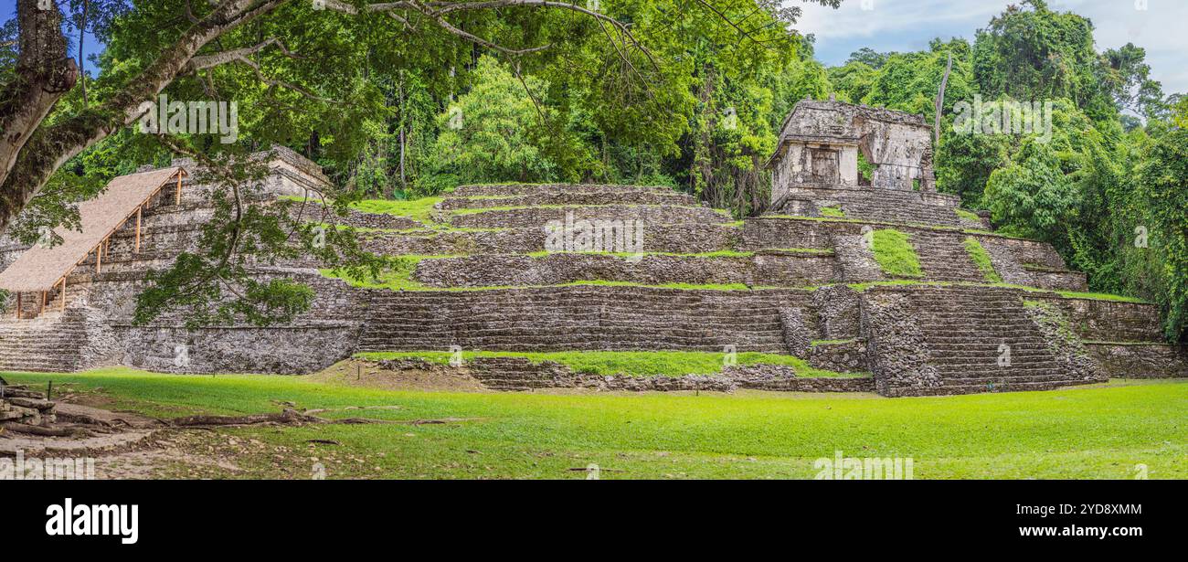 The ancient pyramids of Palenque in Mexico, surrounded by lush jungle ...