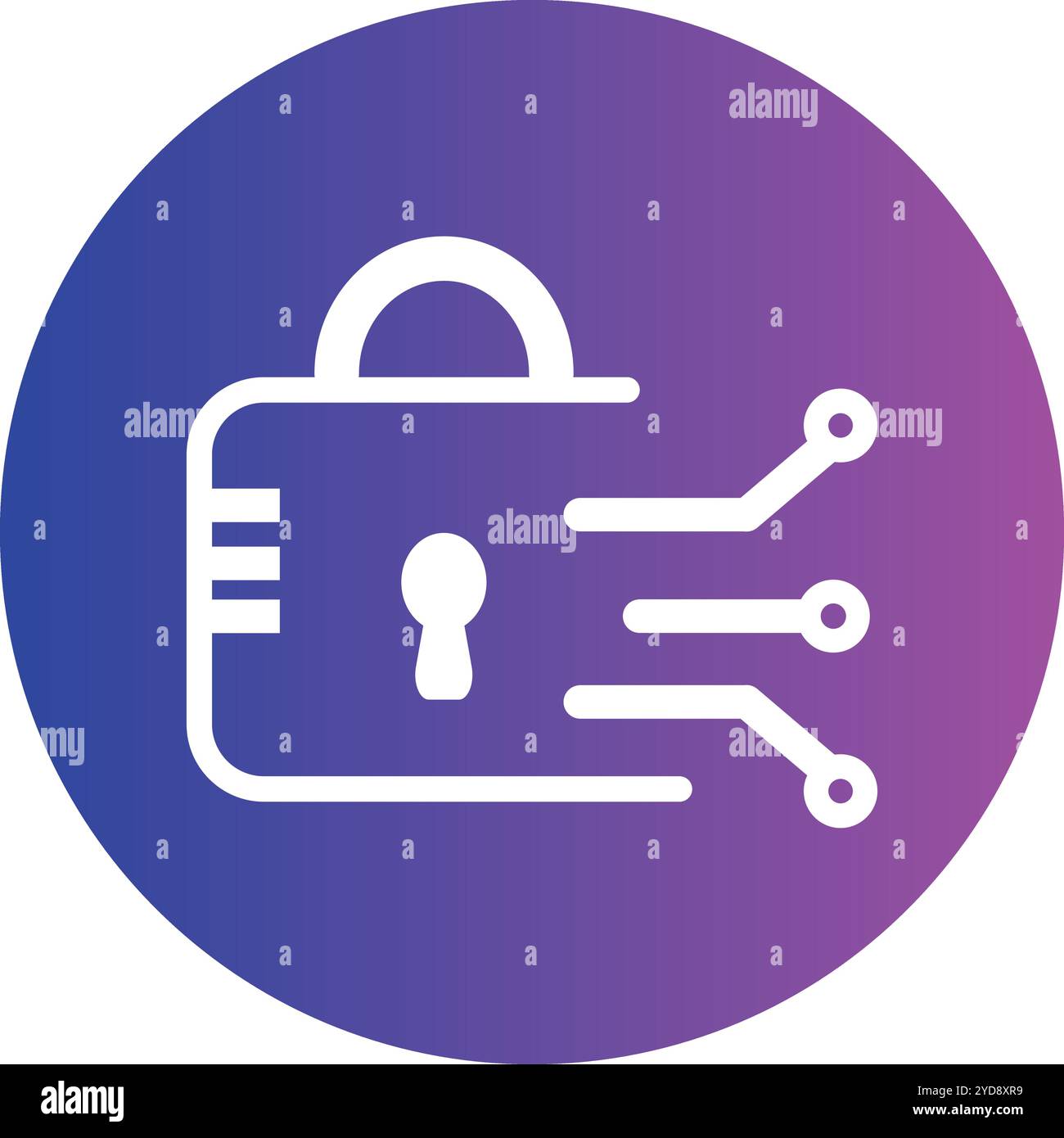 Digital key lock vector icon Stock Vector Image & Art - Alamy
