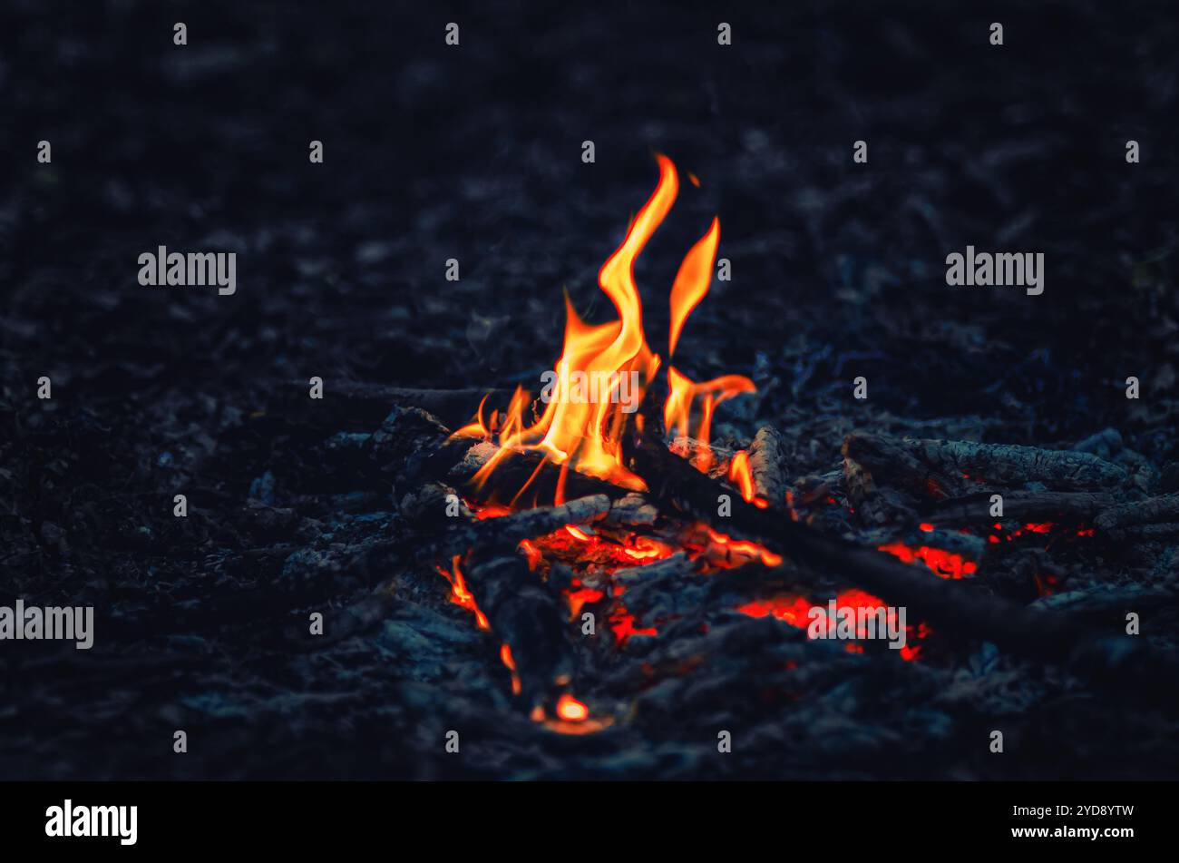 Lone Campfire Flickering in the Dark Cozy Night Outdoors Stock Photo ...