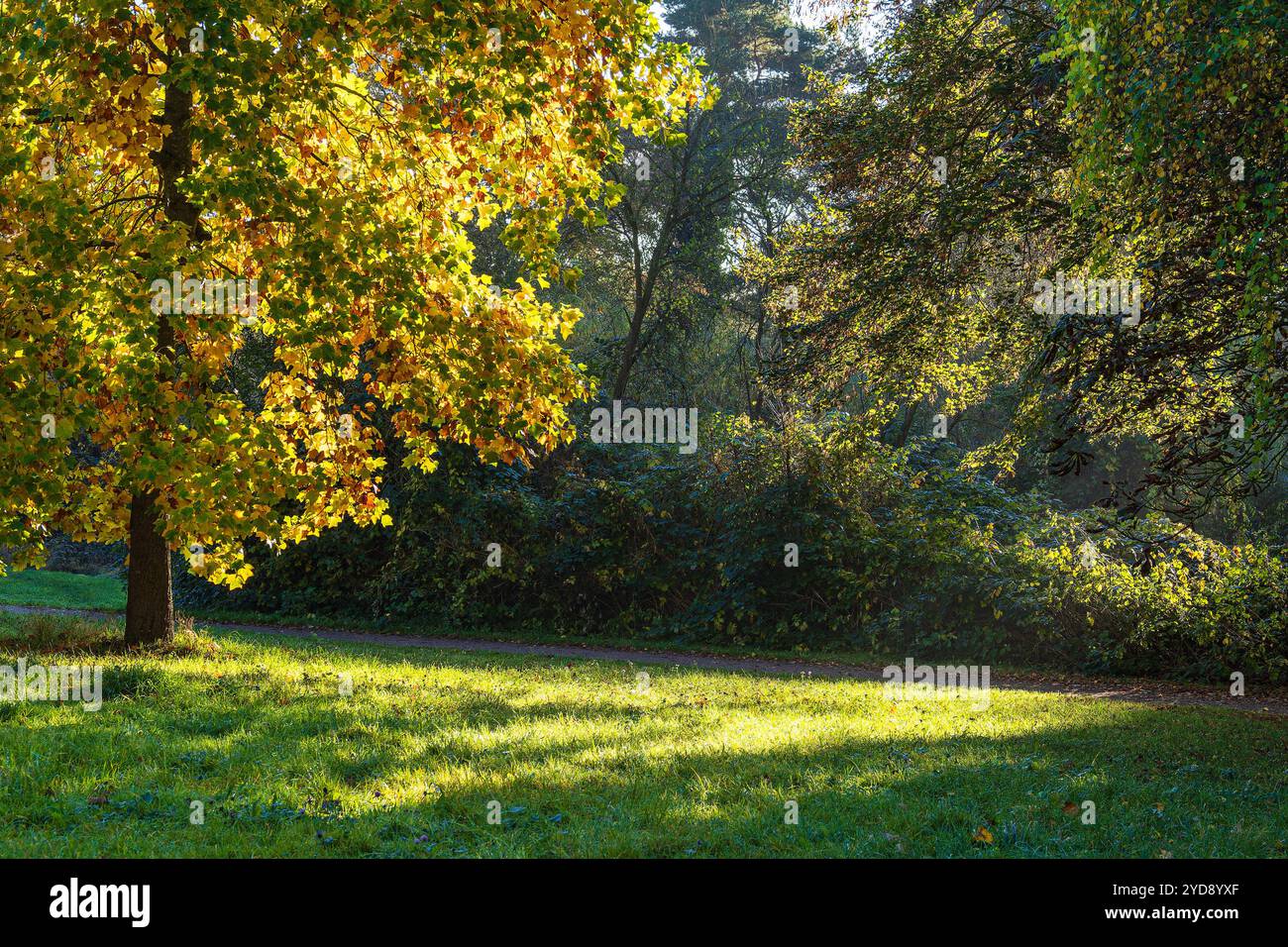 Kringewlgrabenpark hi-res stock photography and images - Alamy