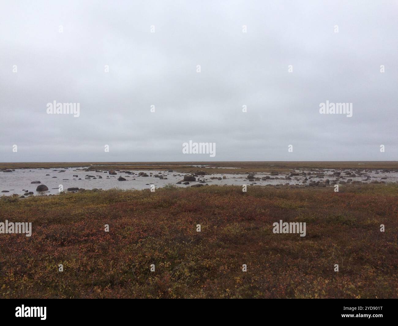Dreary flat landscape with no trees in autumn colours and overcast ...