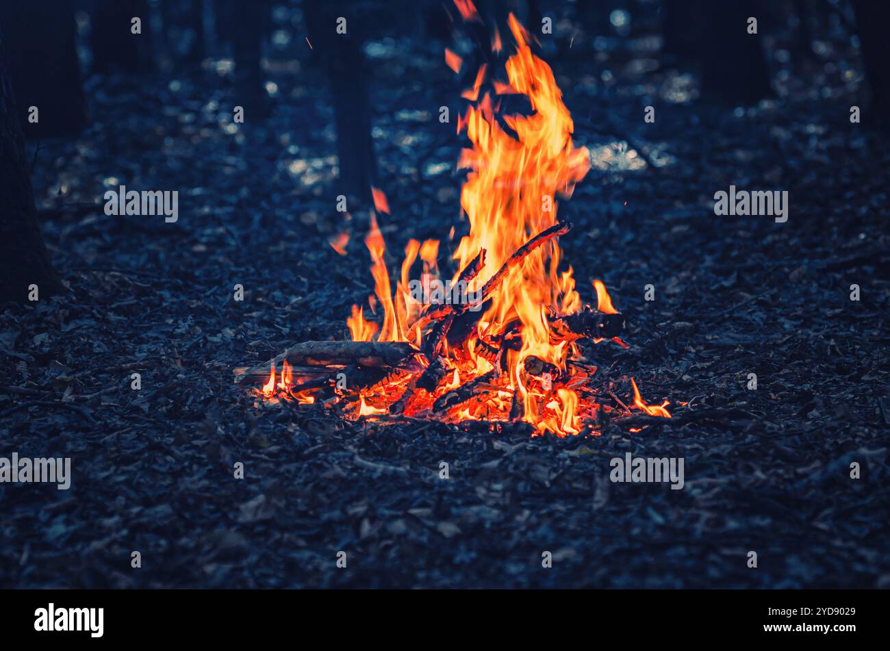 Small fire in the forest at night. Igniting the plow in forest Stock ...
