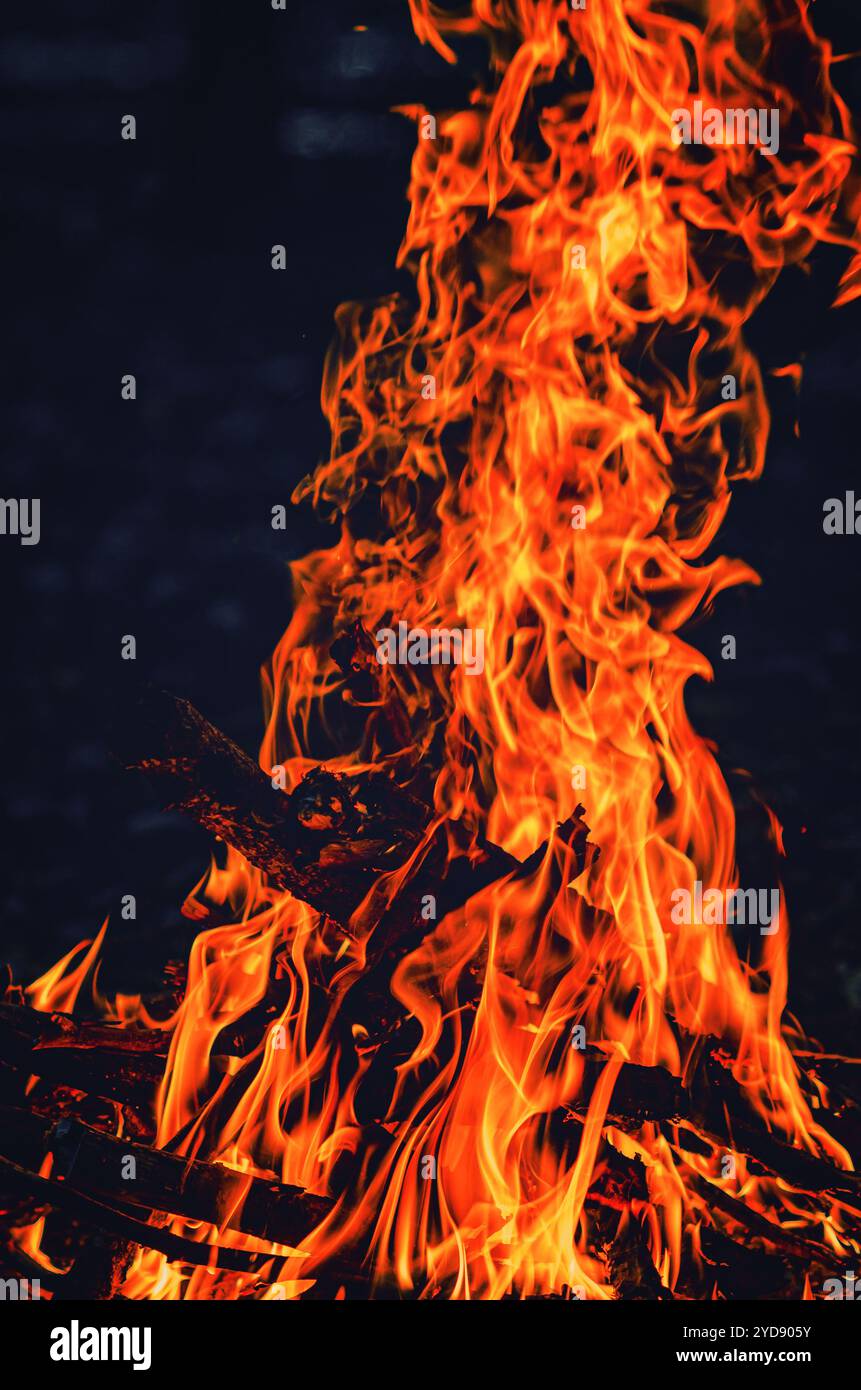 Soft Orange Flame of a Campfire in the Deep Night Forest Stock Photo ...