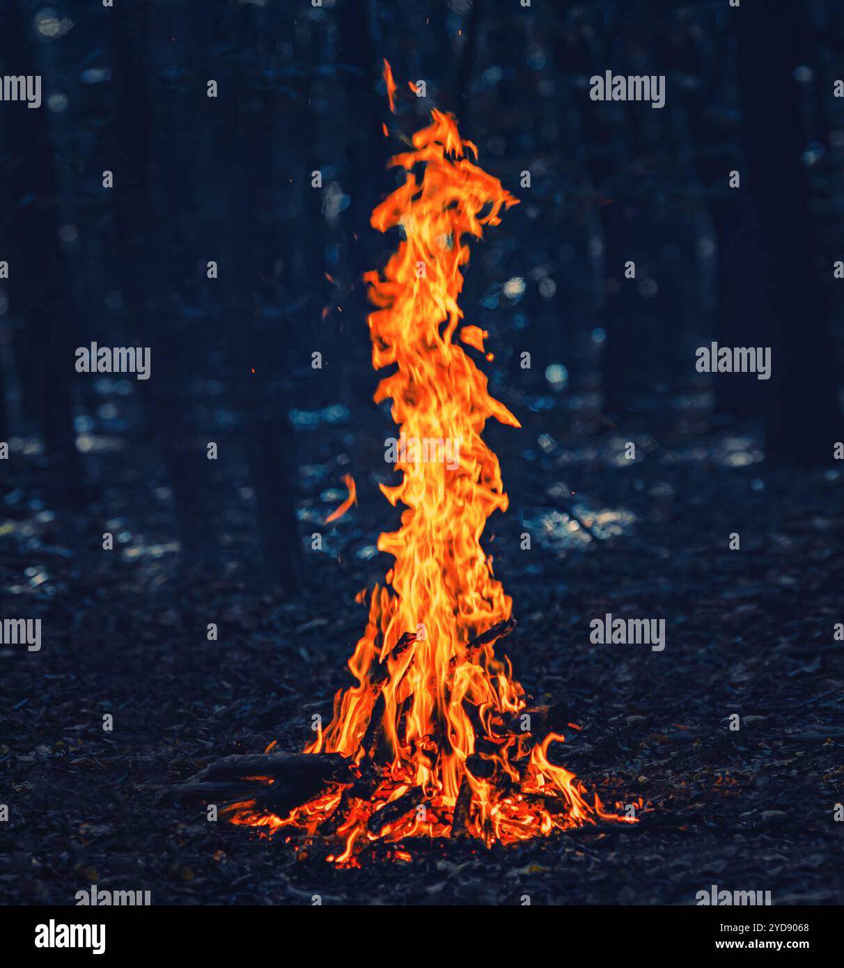 Small fire in the forest at night. Igniting the plow in the forest ...