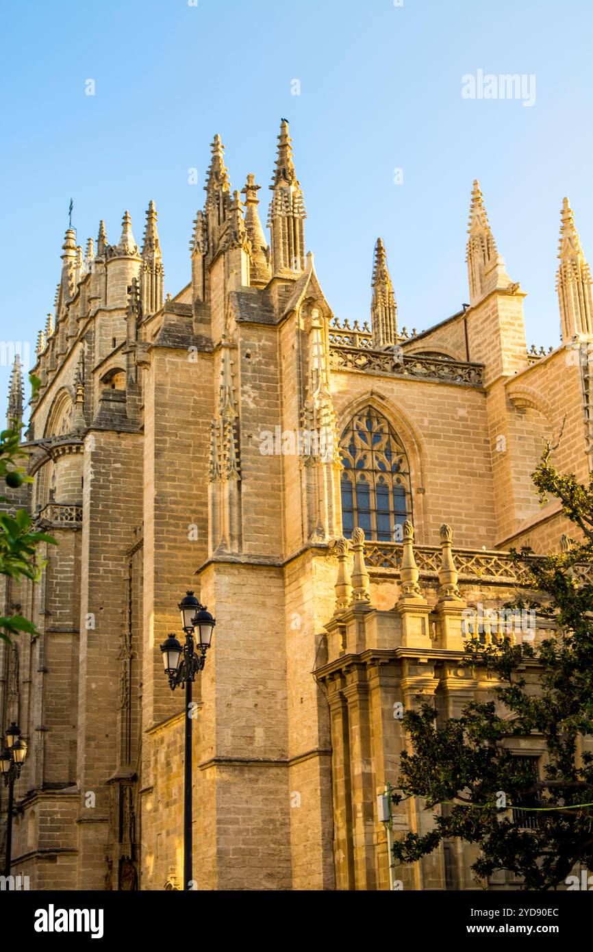 Catedral de Sevilla (Seville Cathedral), UNESCO World Heritage Site ...