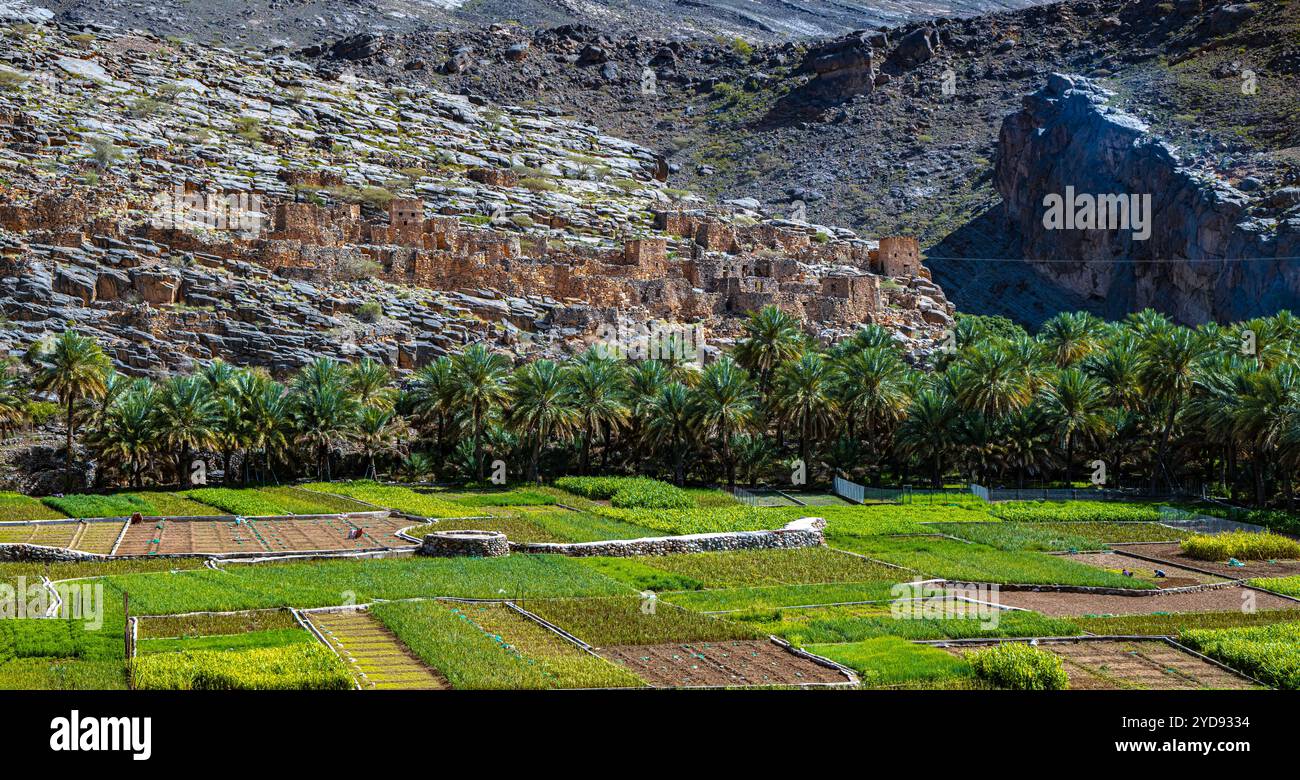 Abandoned village ruins of Riwaygh as-Safil Stock Photo - Alamy