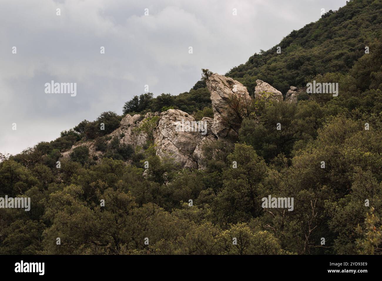 Cloudy landscape with protruding rocks in the forest of Fuente Roja ...