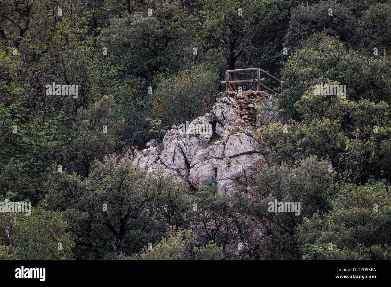 Viewpoint of the Enchanted Forest Route in the Fuente Roja Natural Park ...