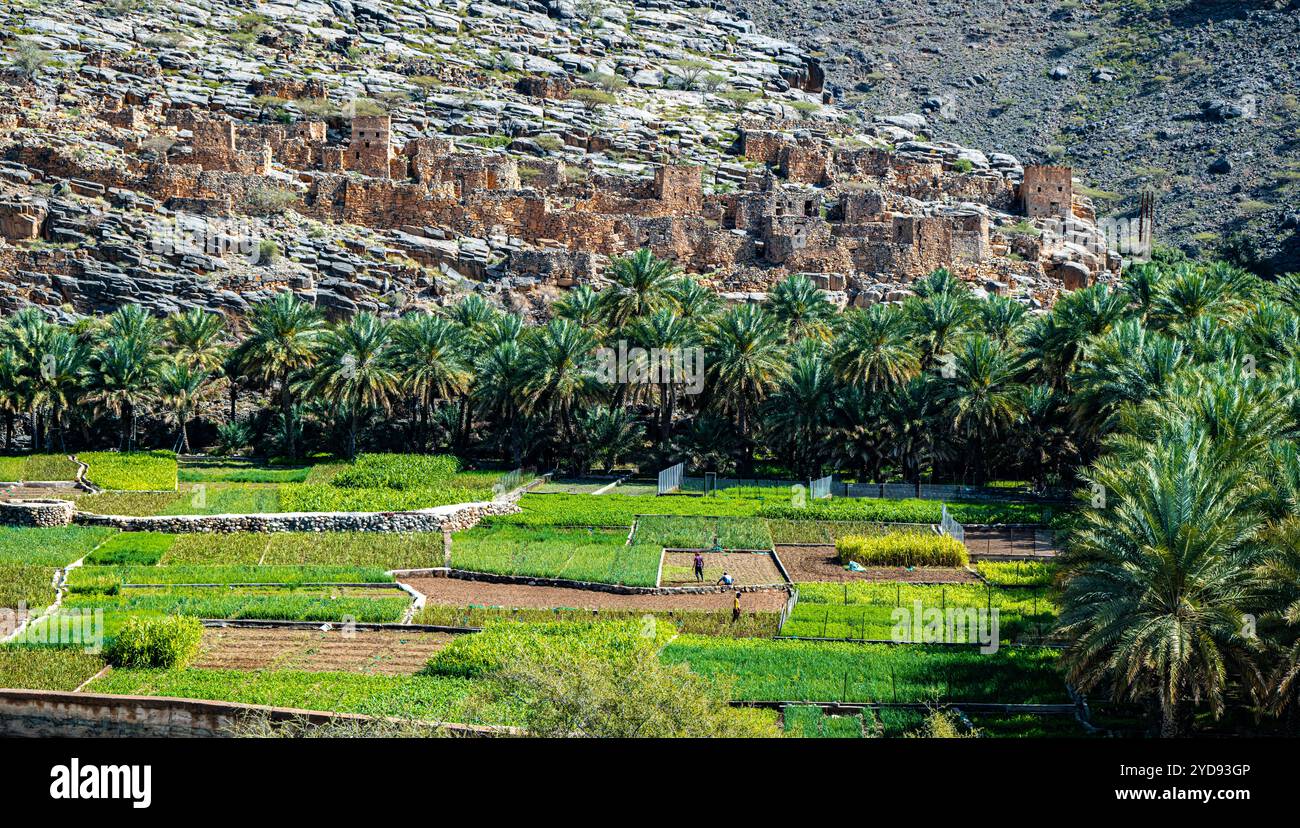 Abandoned village ruins of Riwaygh as-Safil Stock Photo - Alamy