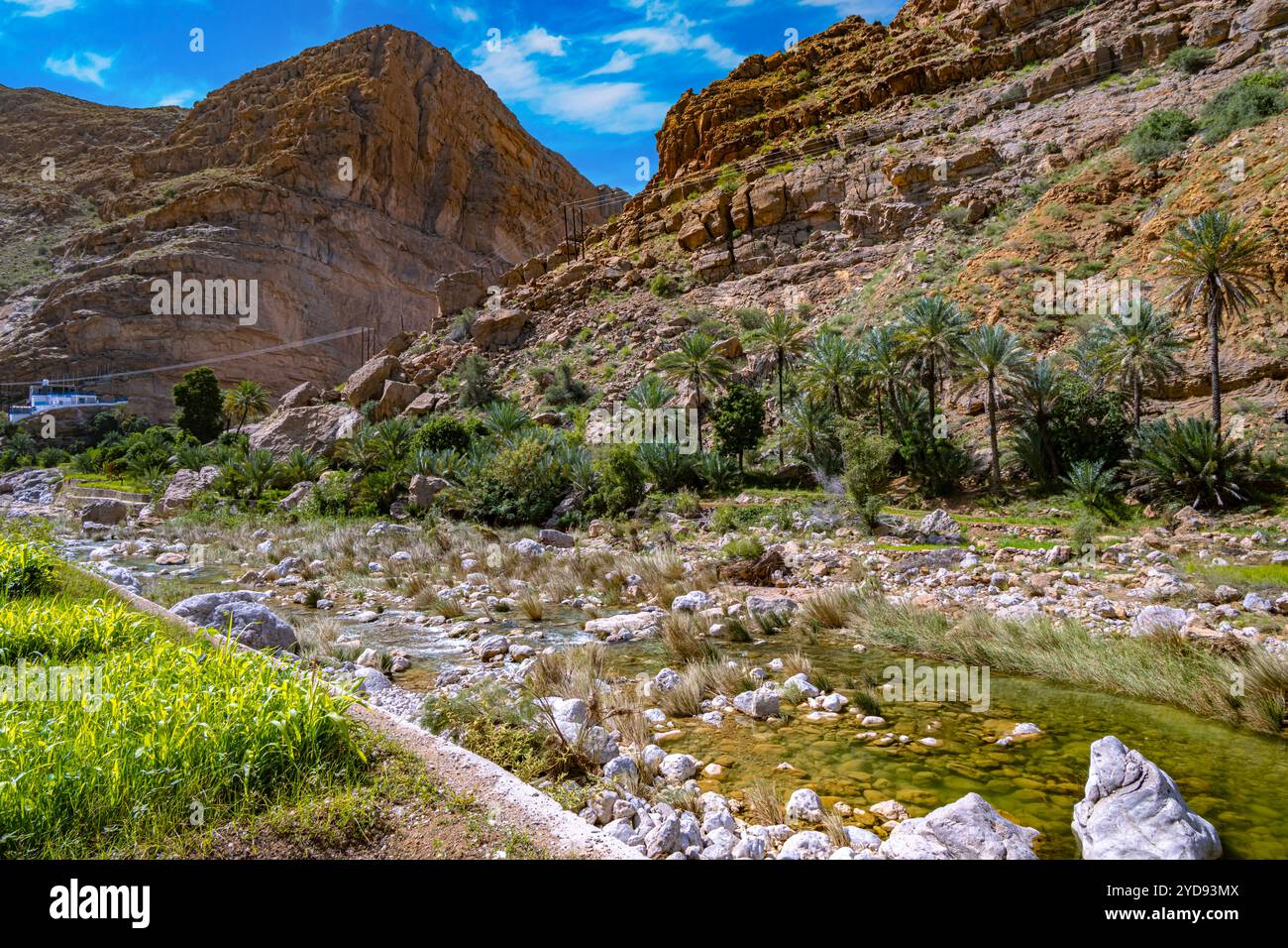 River valley of Wadi Bani Khalid Stock Photo - Alamy