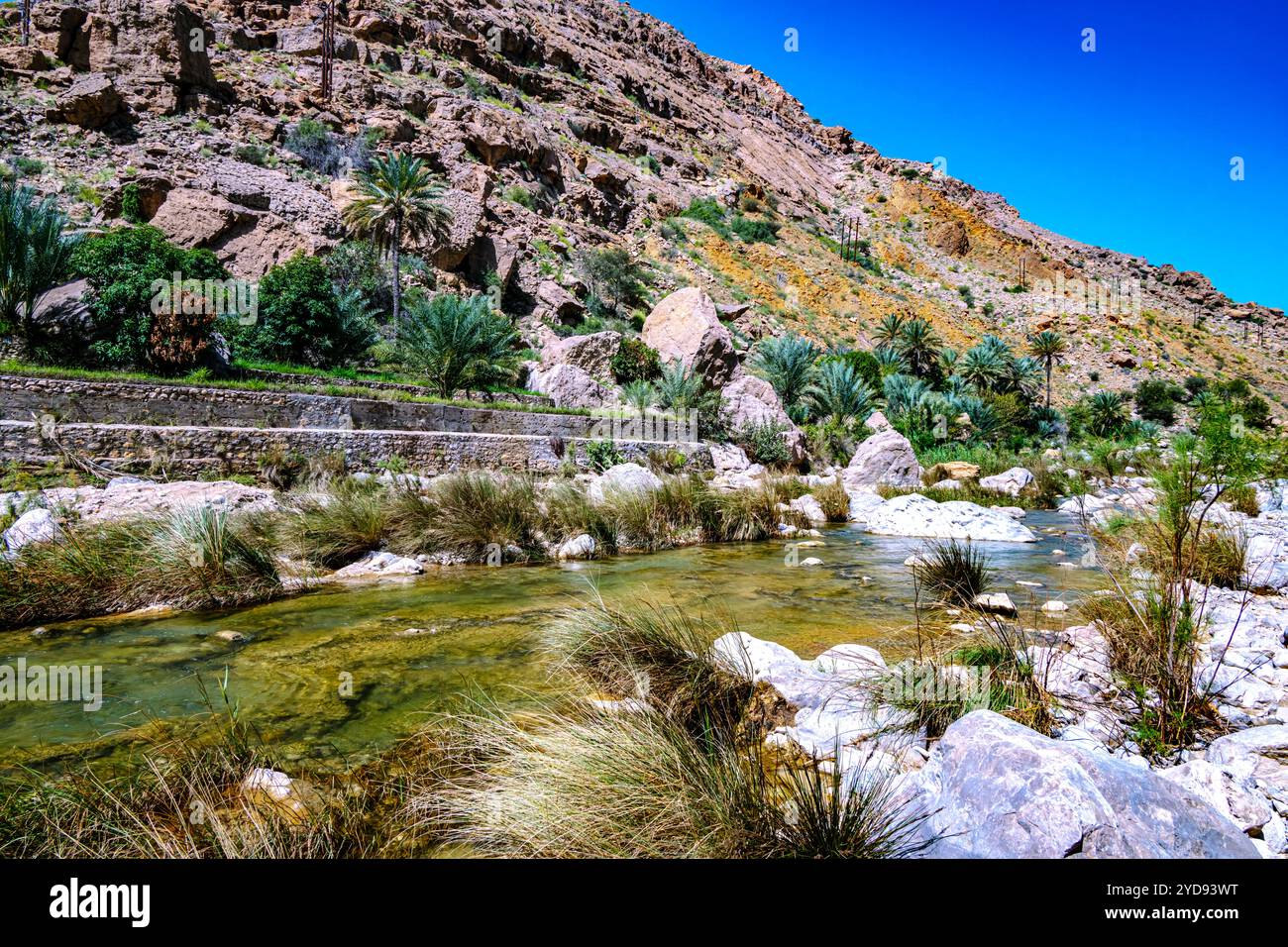 River valley of Wadi Bani Khalid Stock Photo - Alamy