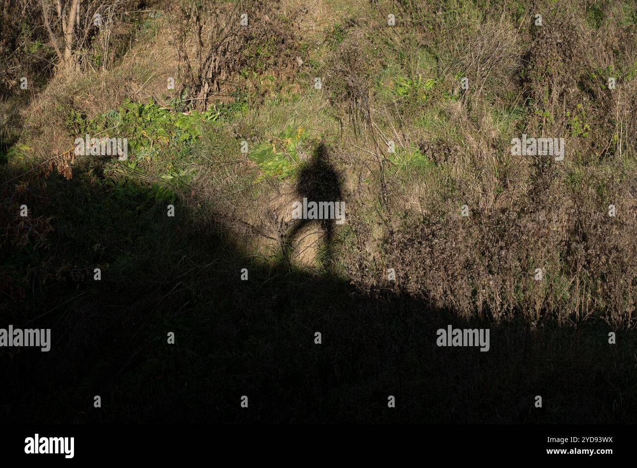 The shadow of a man in the distance looking down. The shadow of a man ...
