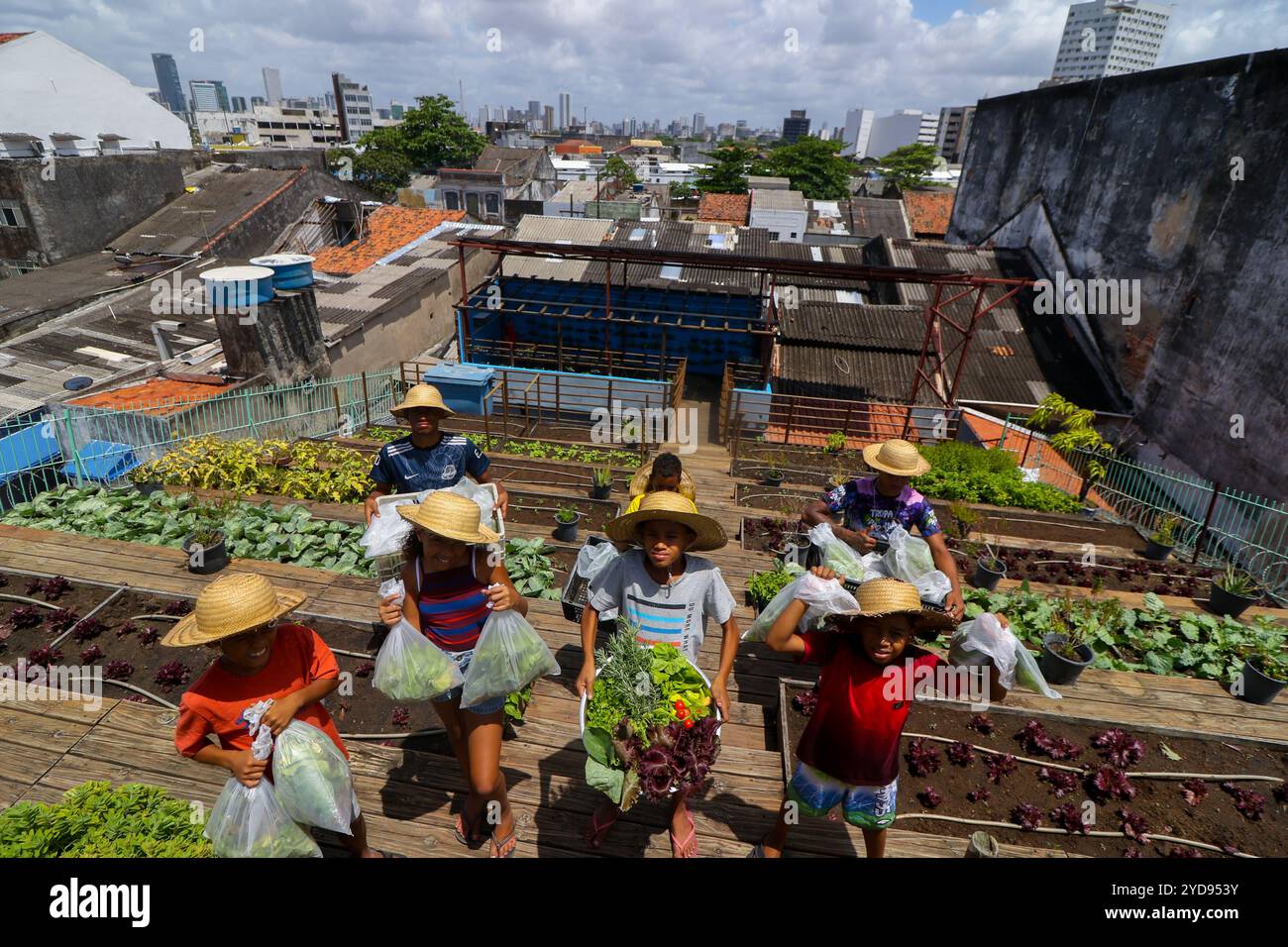 Recife, Brazil. 25th Oct, 2024. PE - RECIFE - 10/25/2024 - RECIFE ...