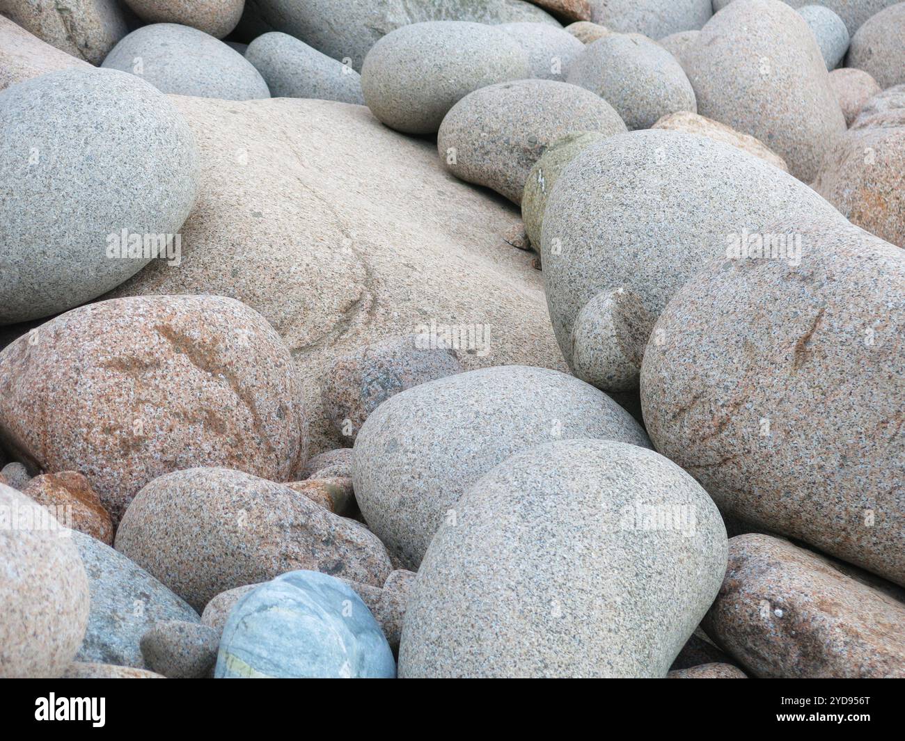 Smooth rounded light colored granite rocks in maine background hi-res ...