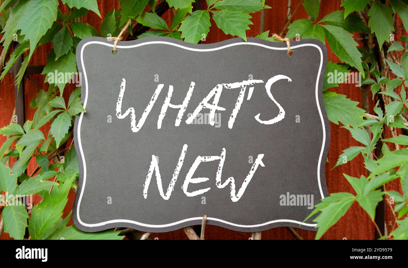 What is new symbol. Concept words What is new on black chalk blackboard ...