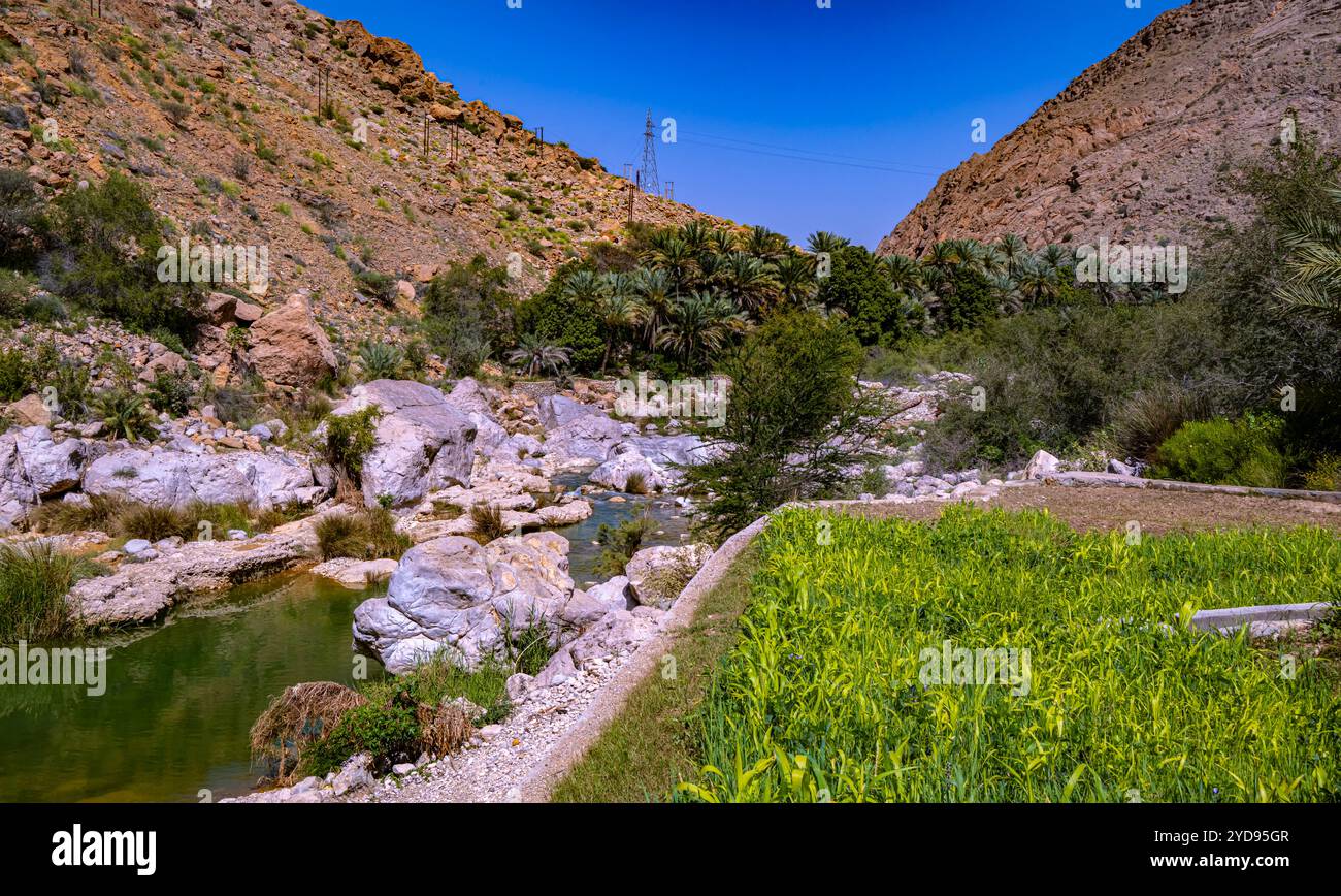 River valley of Wadi Bani Khalid, Northern Governorate, Oman Stock ...