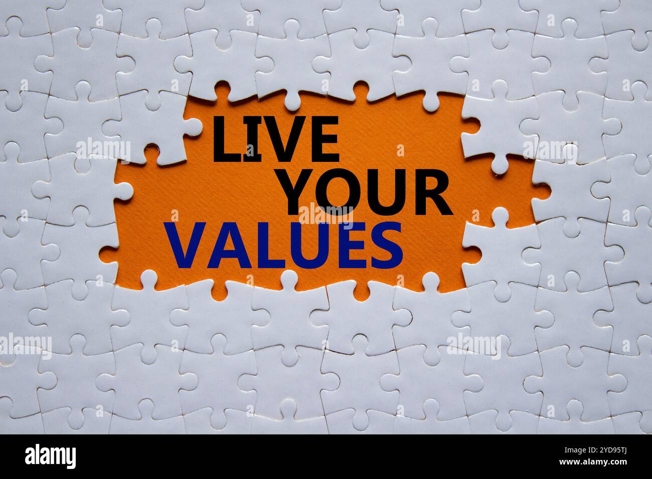 Live your values symbol. Concept words Live your values on white puzzle ...