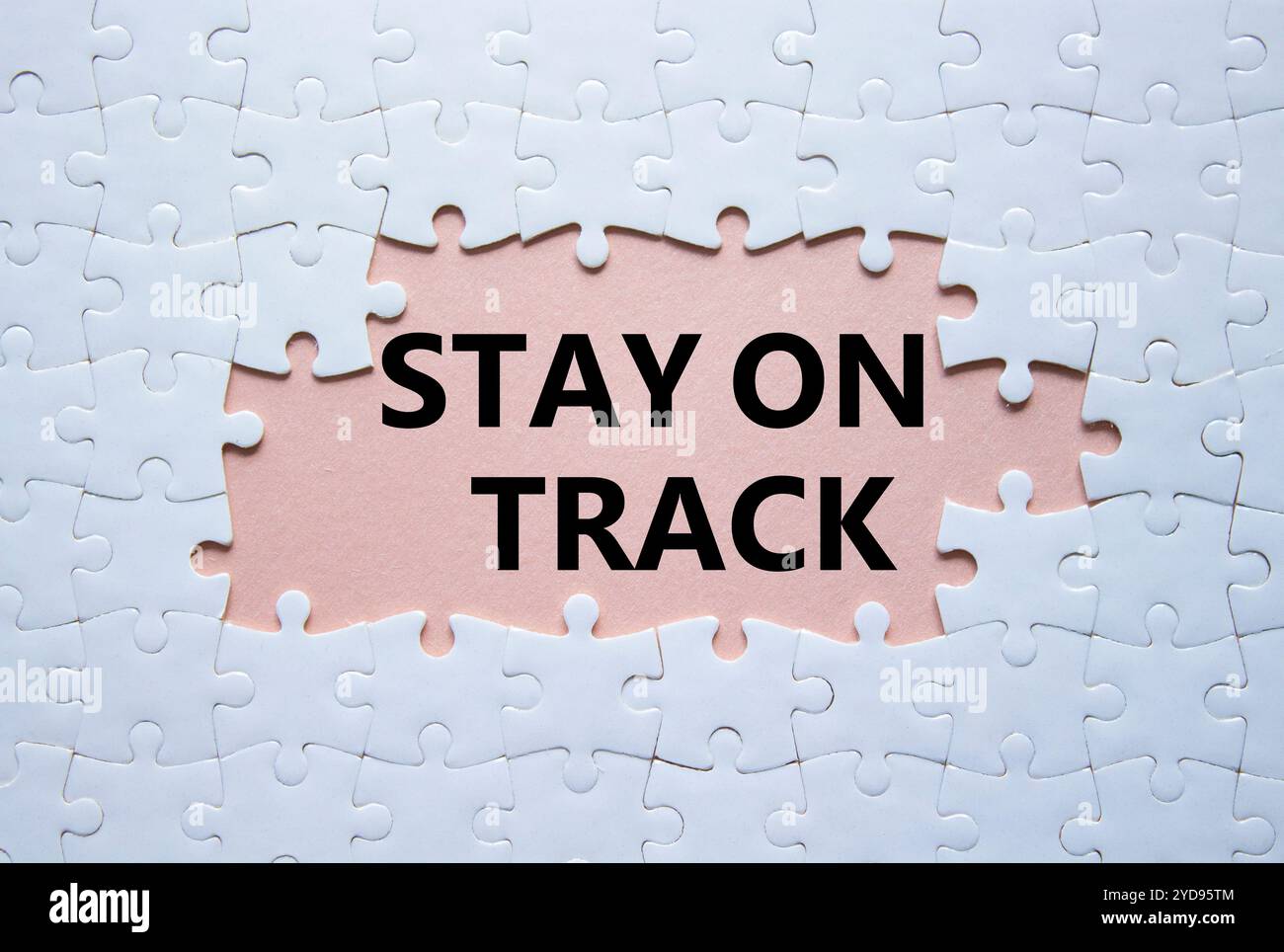 Stay on track symbol. Concept words Stay on track on white puzzle ...