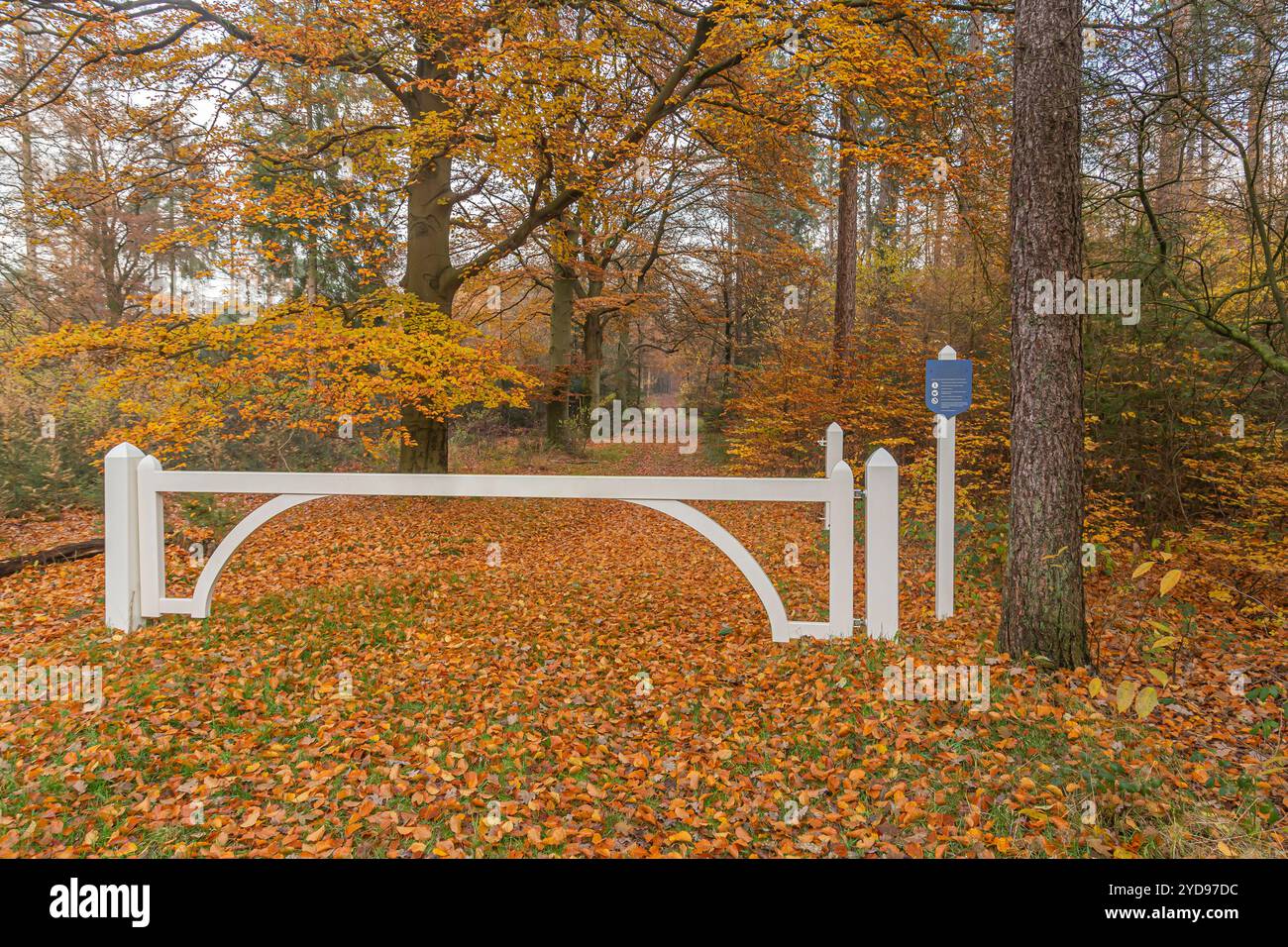 Gate fence autumn in hi-res stock photography and images - Alamy