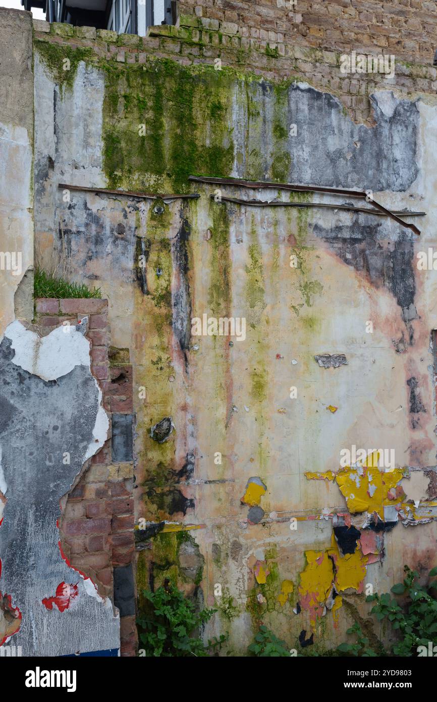 Crumbling remains of one damp, moss-covered walls of an old demolished ...
