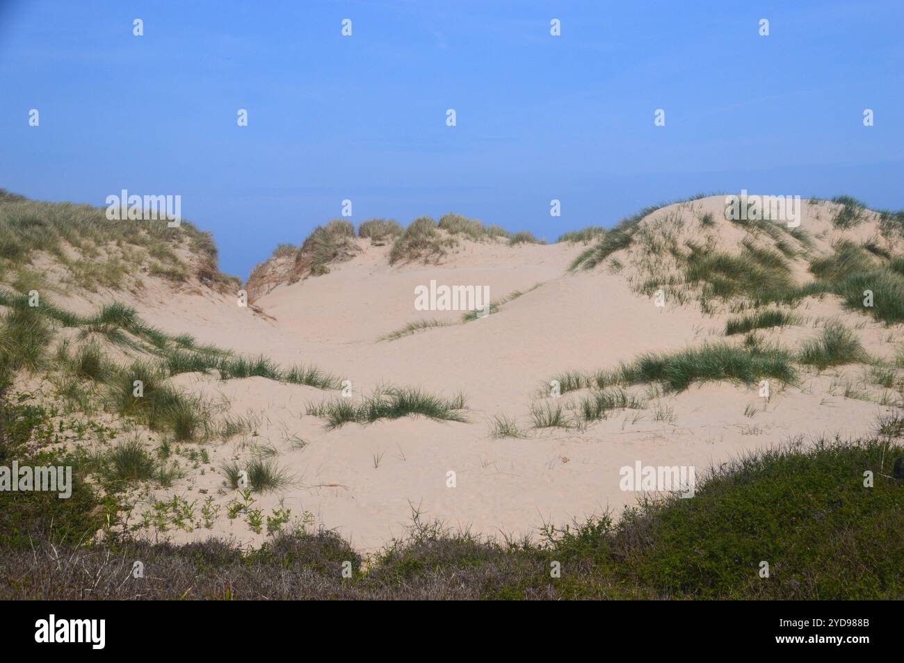 Sand Dunes by Crantock Beach on the Southwest Coastal Path, North ...