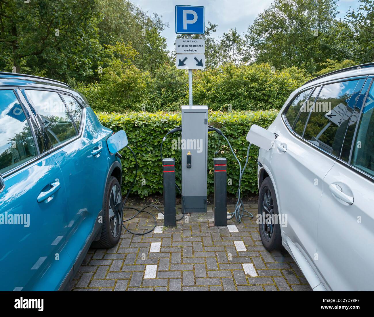 Charging modern electric cars on public charging station outdoors. Text ...