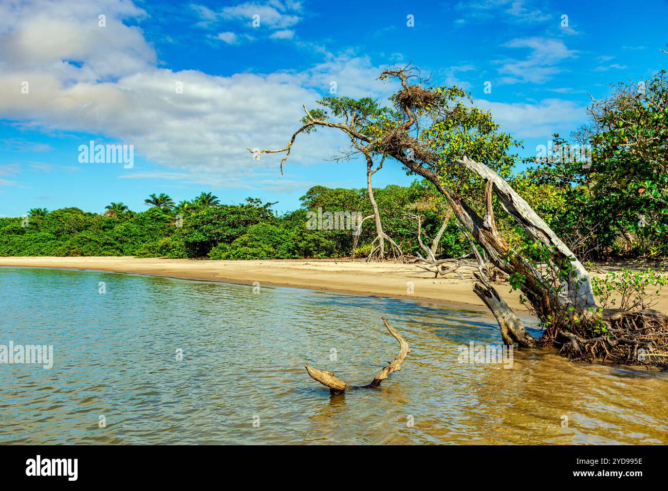 Tranquil beach environment hi-res stock photography and images - Alamy