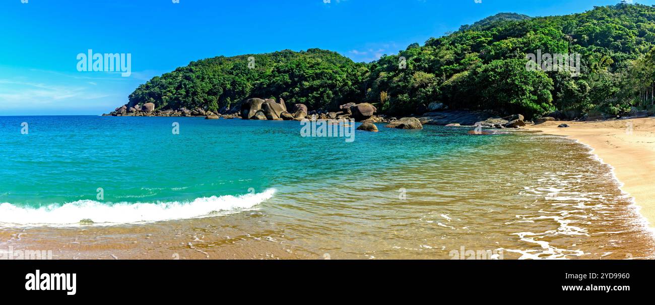 Sea sand and forest hi-res stock photography and images - Alamy