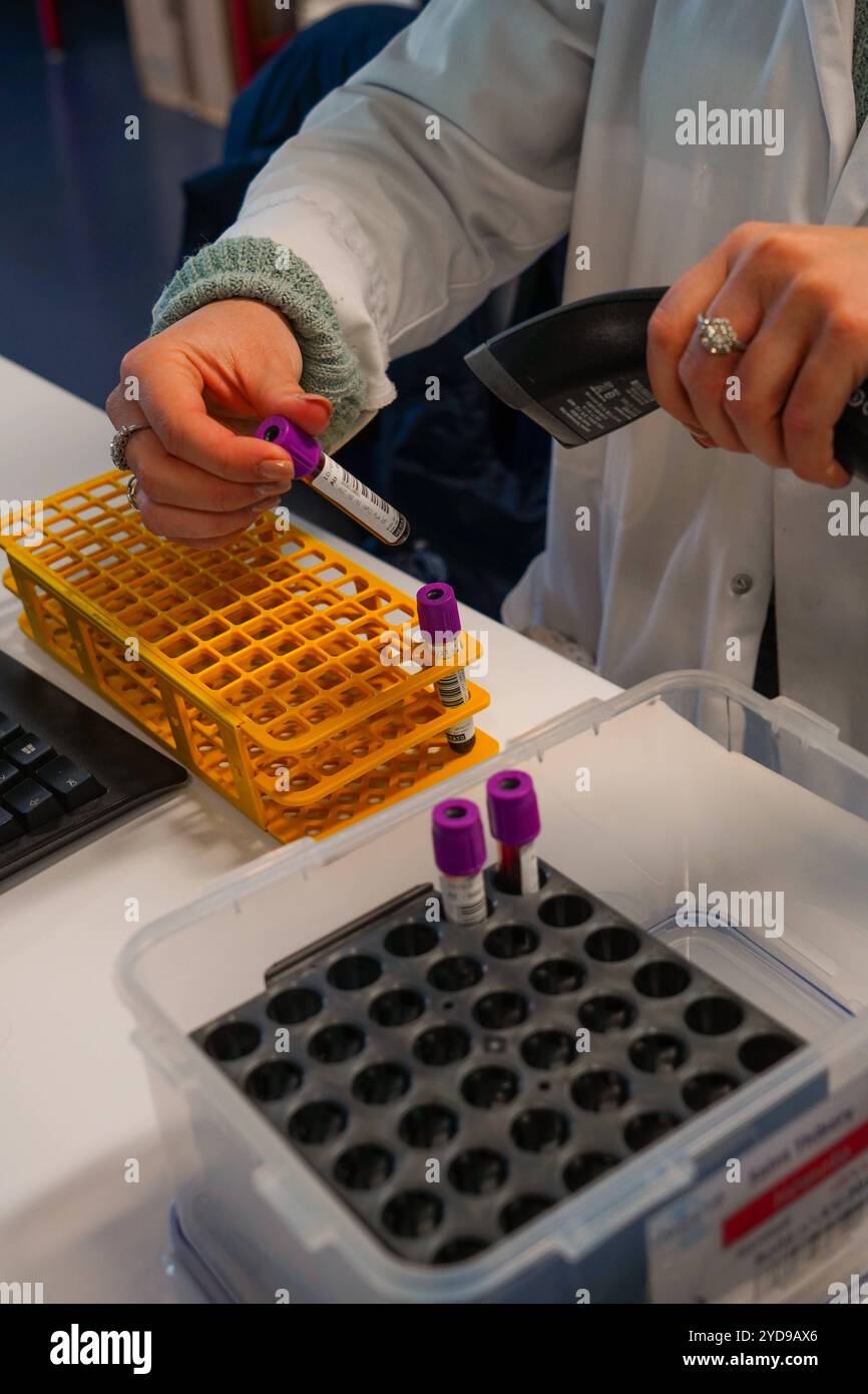 Medical Analysis Laboratory. Biomedical Analysis Technicians. Scanning ...