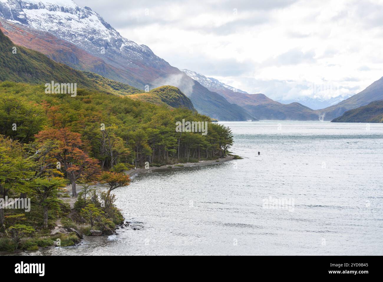 Autumn in Patagonia Stock Photo - Alamy