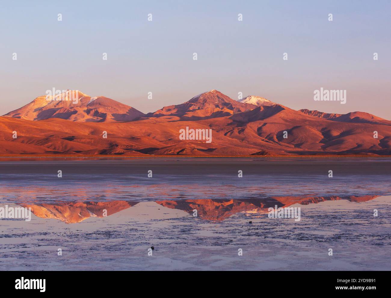 Lagoon in the high altitudes of the Bolivian Andes Stock Photo - Alamy