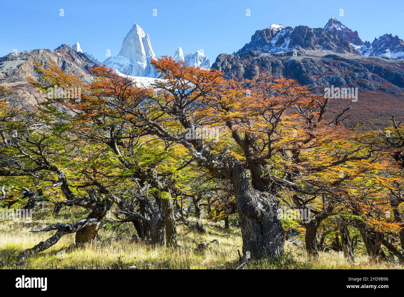 Autumn in Patagonia Stock Photo - Alamy