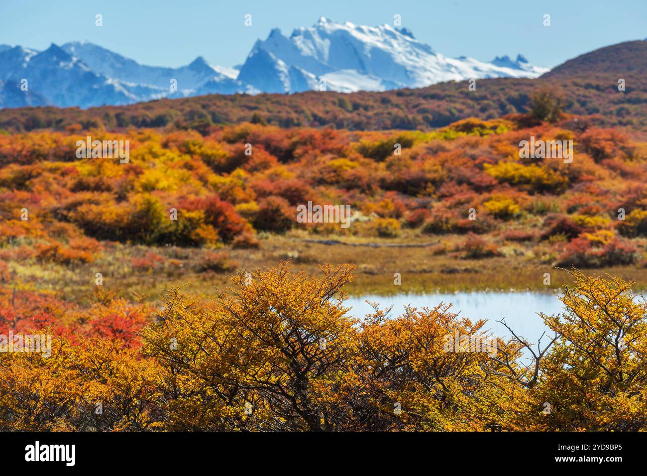 Autumn in Patagonia Stock Photo - Alamy